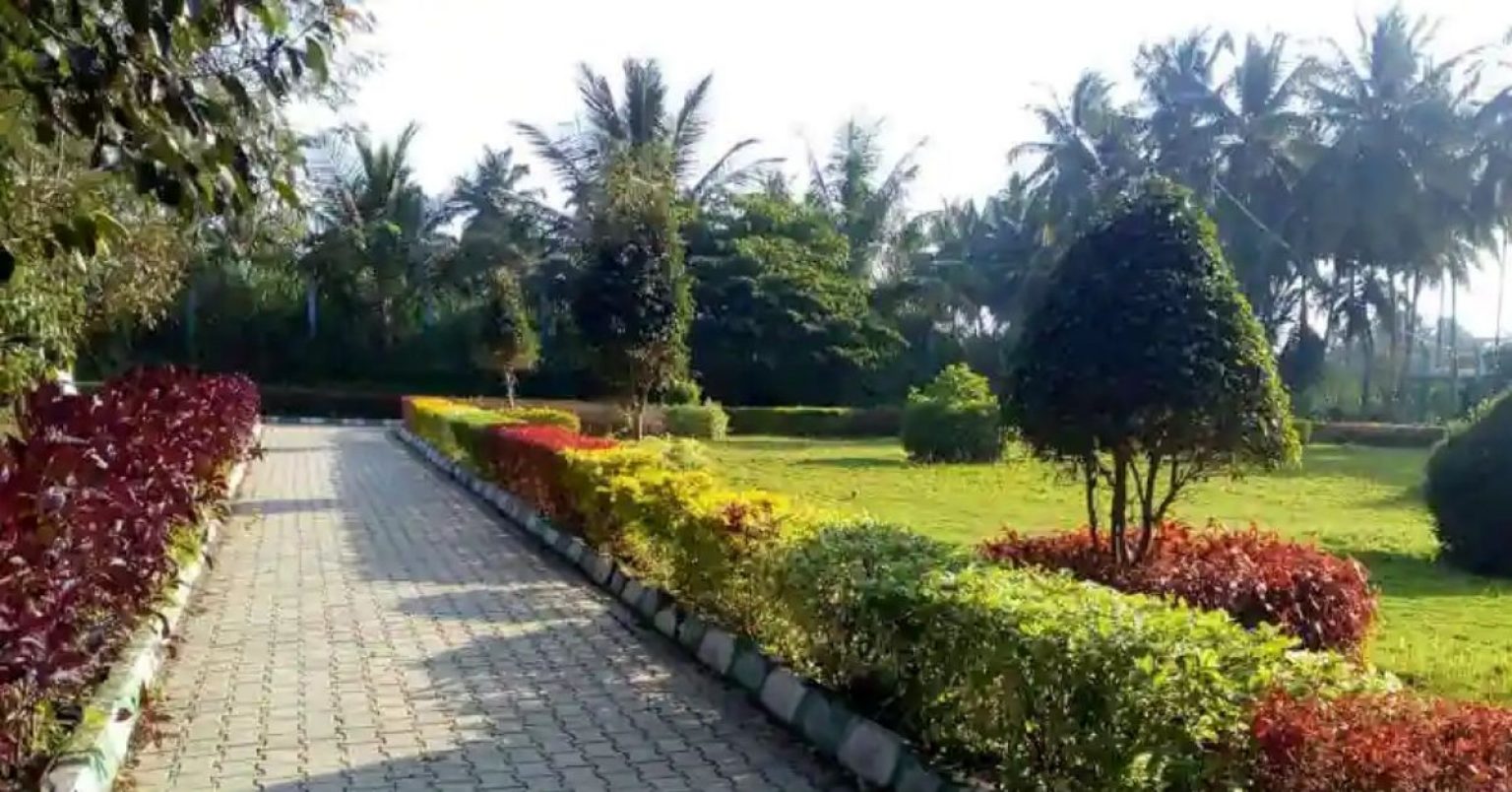 Top 11 Things To Do While Visiting Banashankari - Masala Chai Media