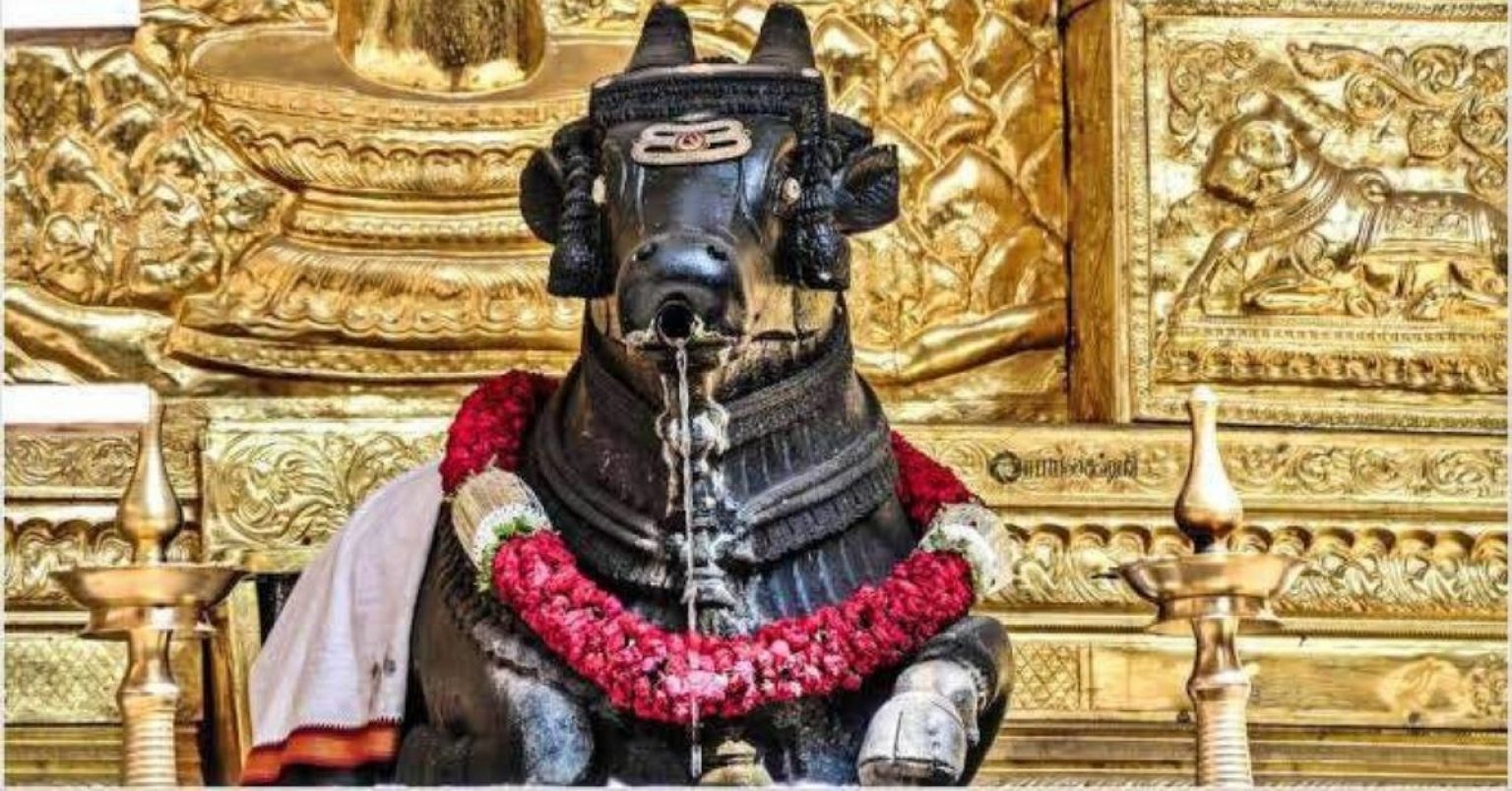 12 Things To Do While Visiting Malleswaram - Masala Chai Media