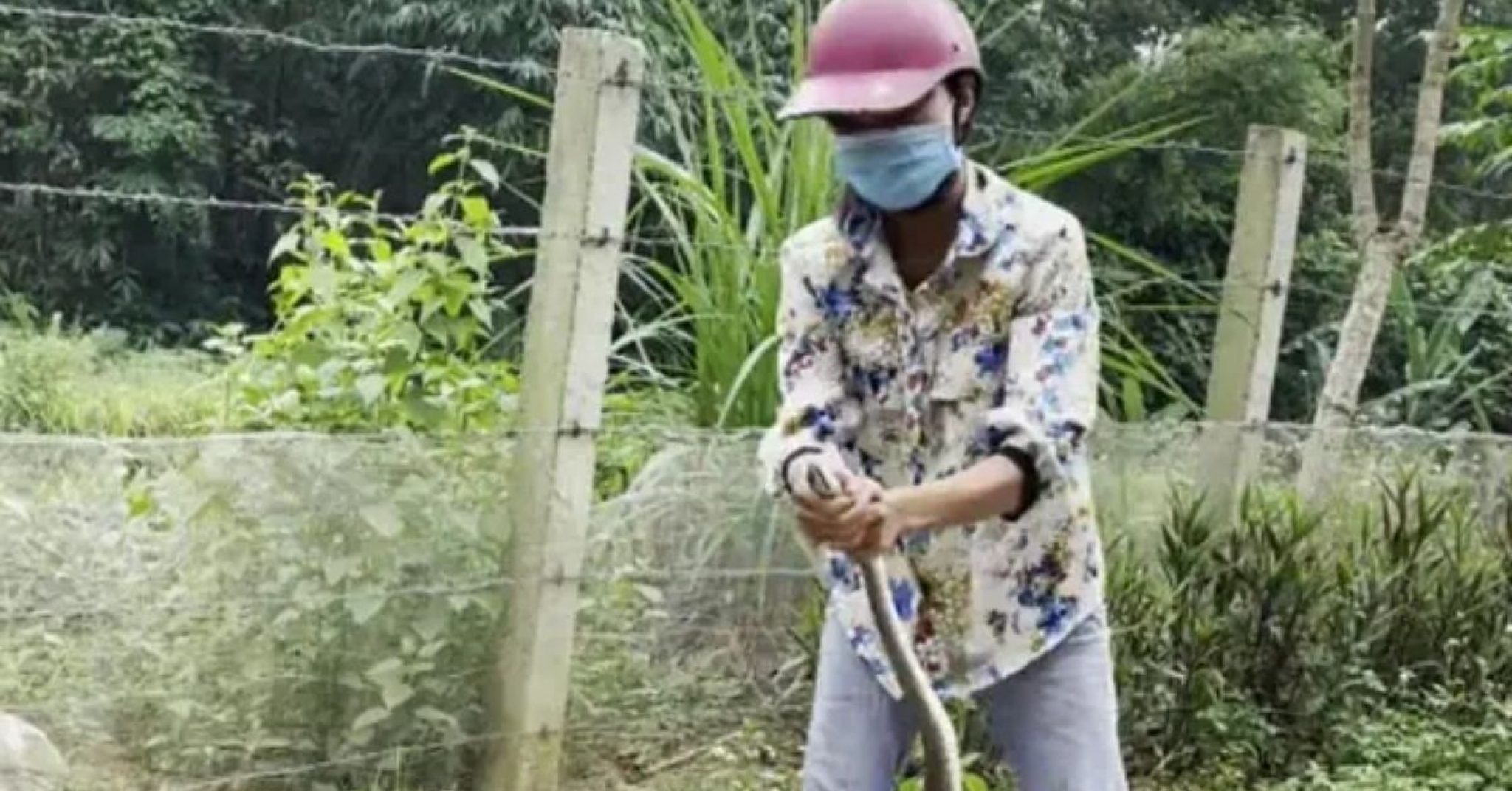 Viral Video: Woman Catching A Snake With Bare Hands Goes Creepy