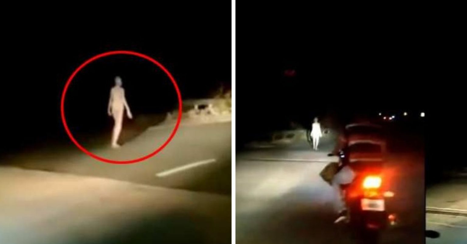 Watch Video: Scary Alien-Like Creature Spotted Walking On Road At Night ...